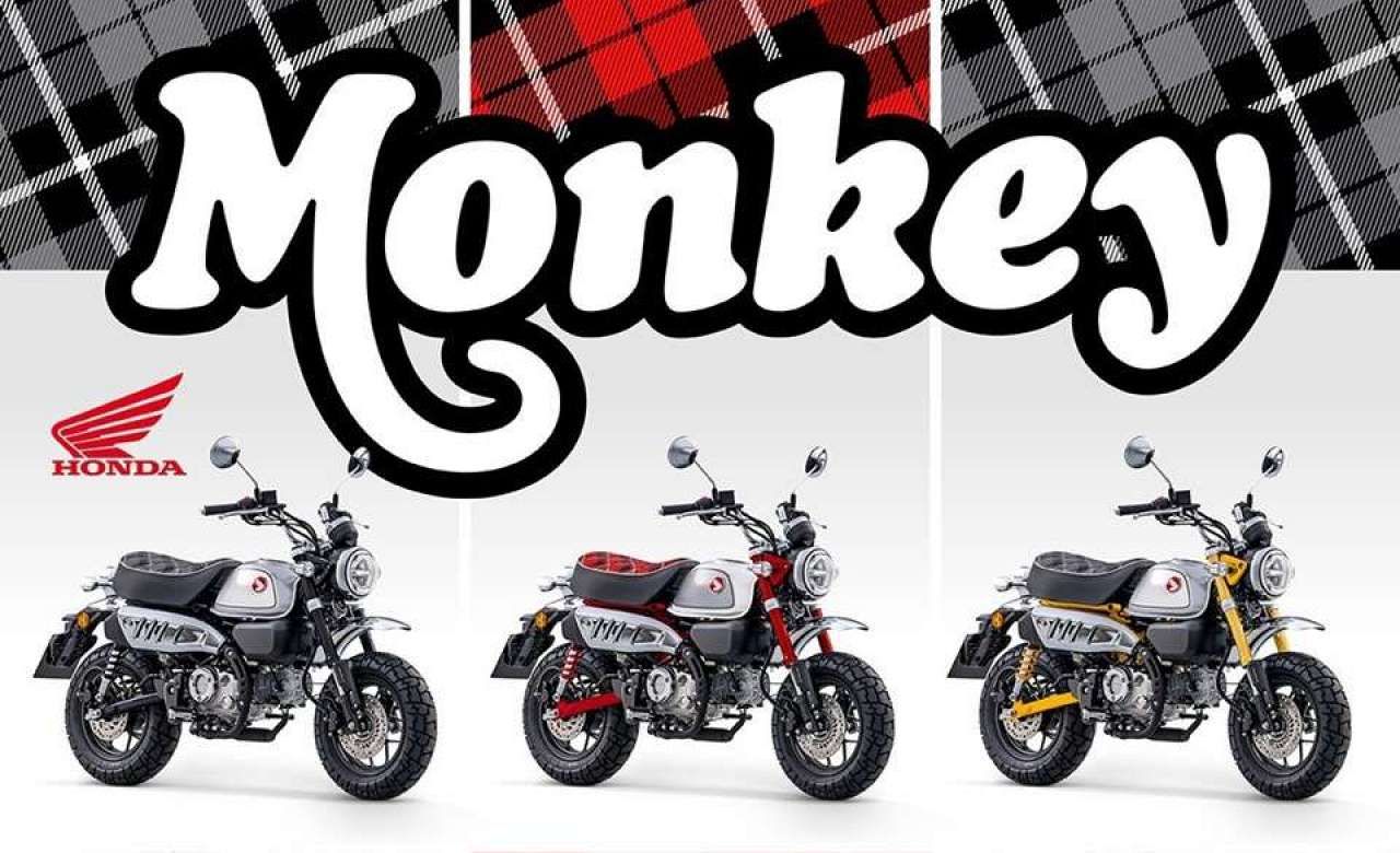 NOWA HONDA MONKEY 125 2023 | GRUPA GEZET